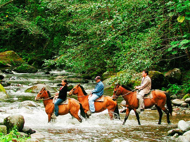 National Day of the Biosphere Reserves is declared in Costa Rica ...