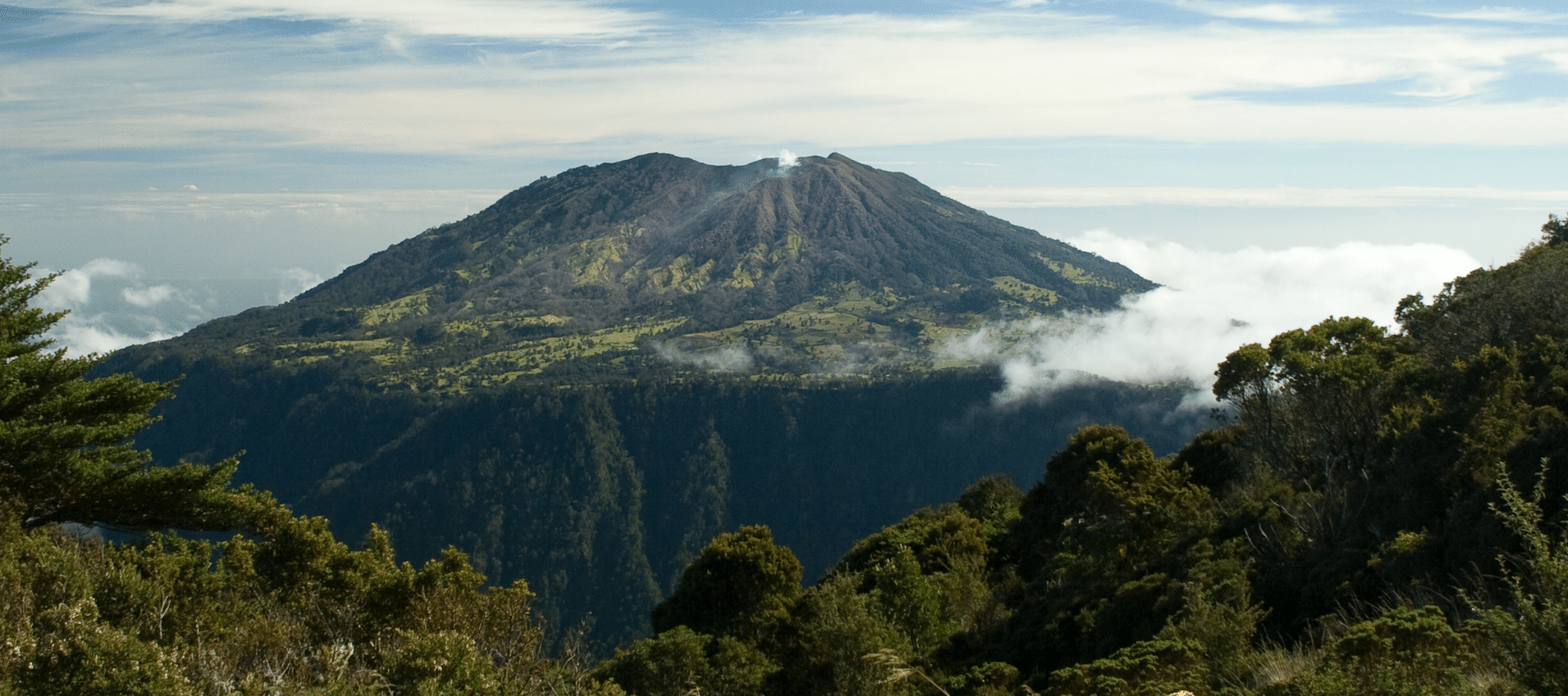 National Day of the Biosphere Reserves is declared in Costa Rica ...