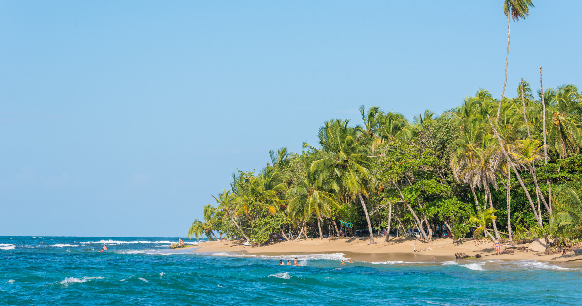 A Guide to Costa Rica’s Caribbean Side: From Tortuguero to Puerto Viejo