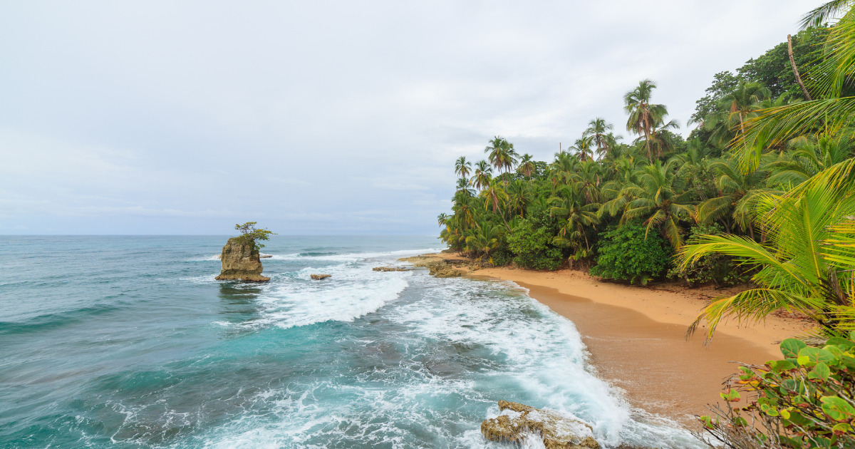 A Guide to Costa Rica’s Caribbean Side: From Tortuguero to Puerto Viejo